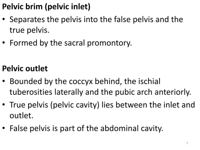 Pelvic Floor.pptx