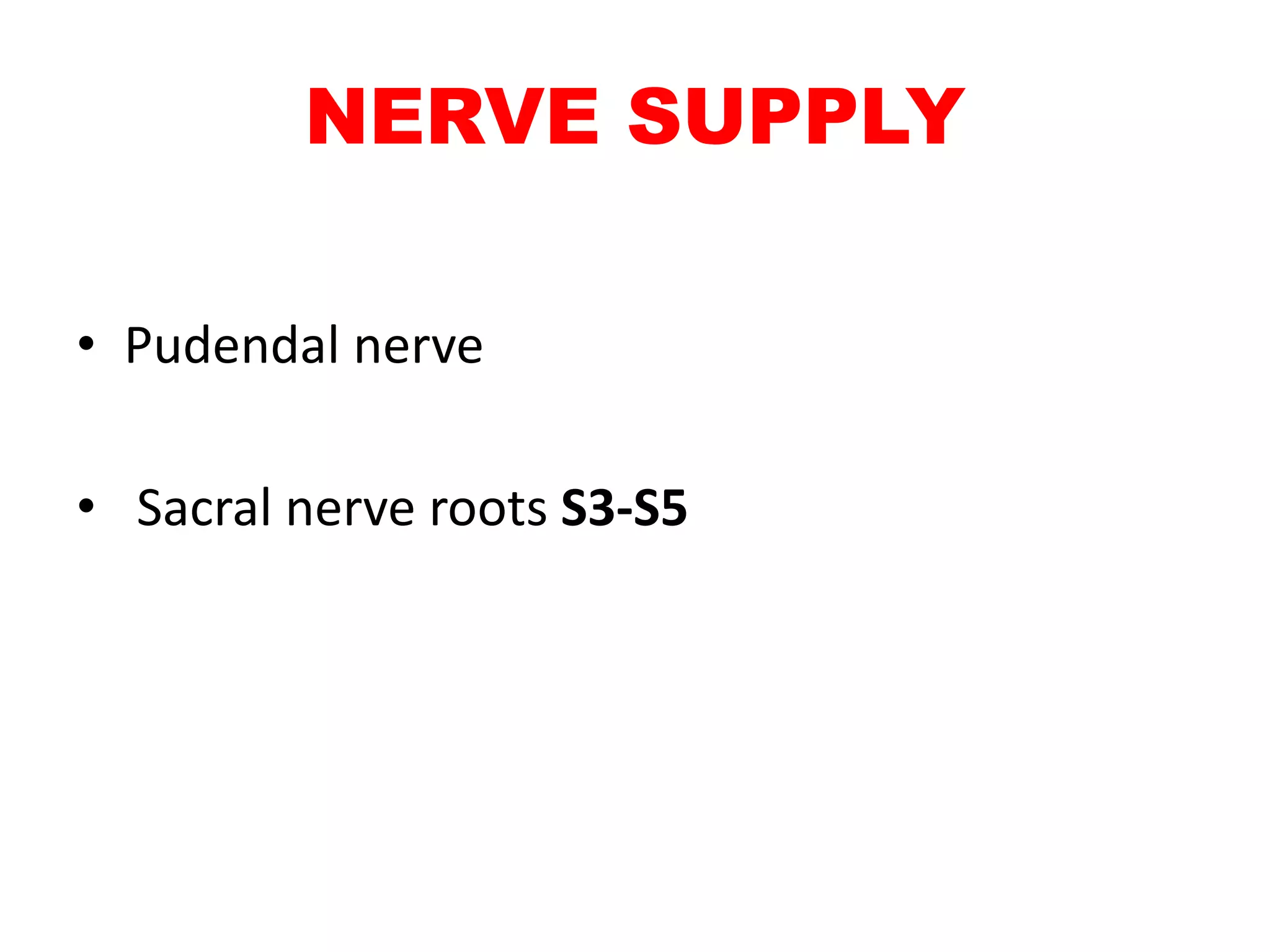 Pelvic floor muscles and the perineal body- mr. panneh | PPTX