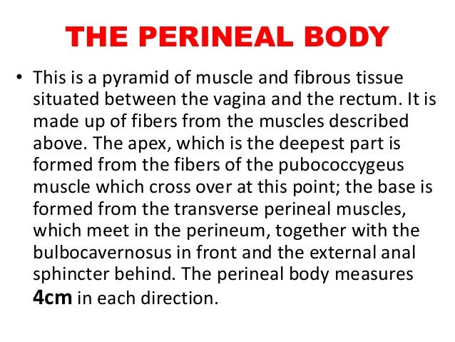 Perineum Muscle Pain