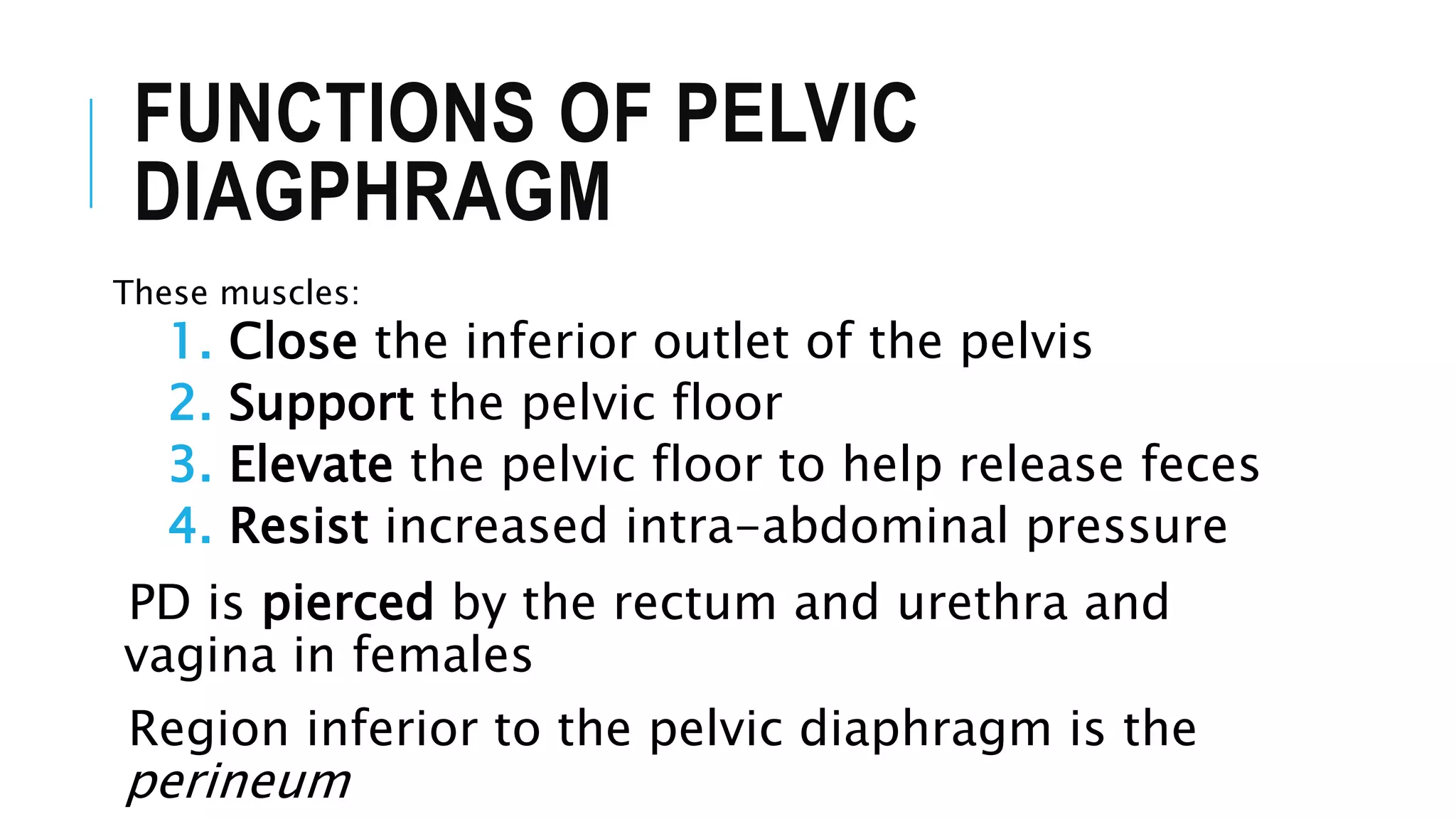 Pelvic Floor Anatomy and Physiotherapy management | PPTX