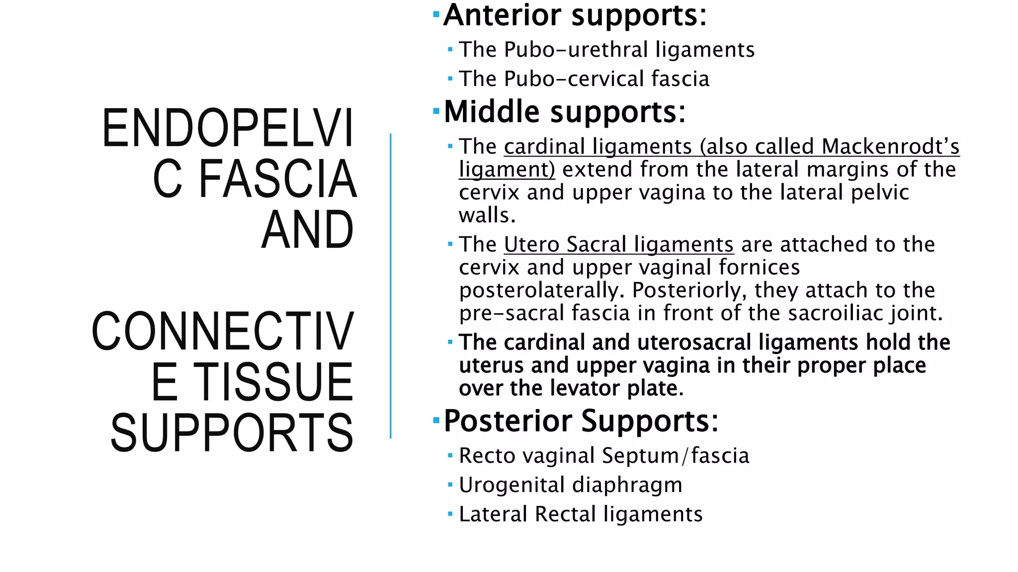 Pelvic Floor Anatomy and Physiotherapy management | PPTX
