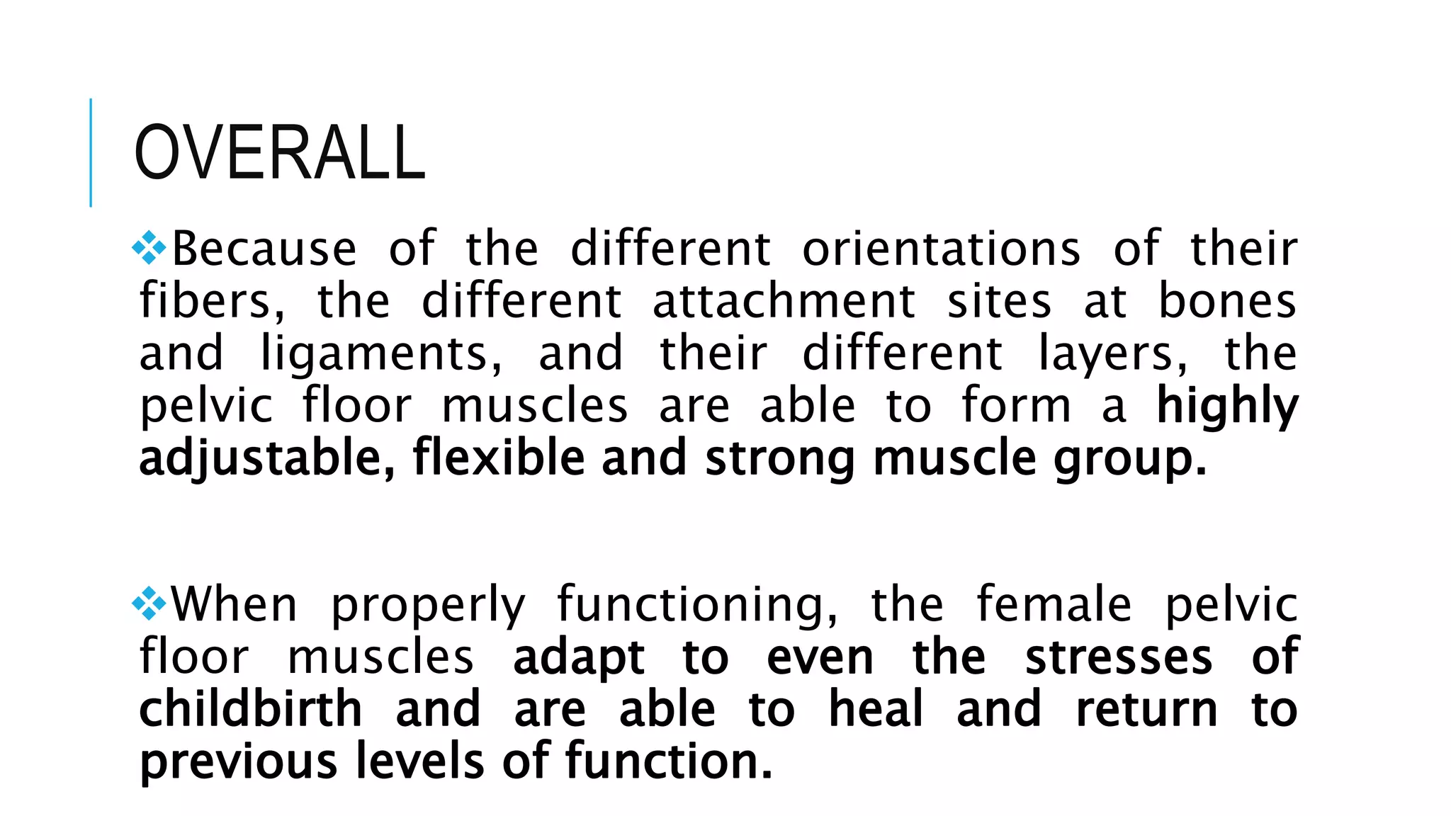 Pelvic Floor Anatomy and Physiotherapy management | PPTX