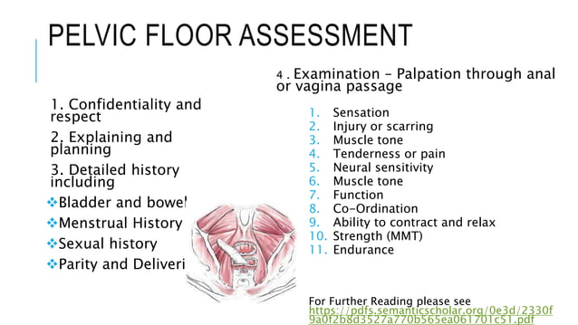 Pelvic Floor Anatomy and Physiotherapy management | PPTX