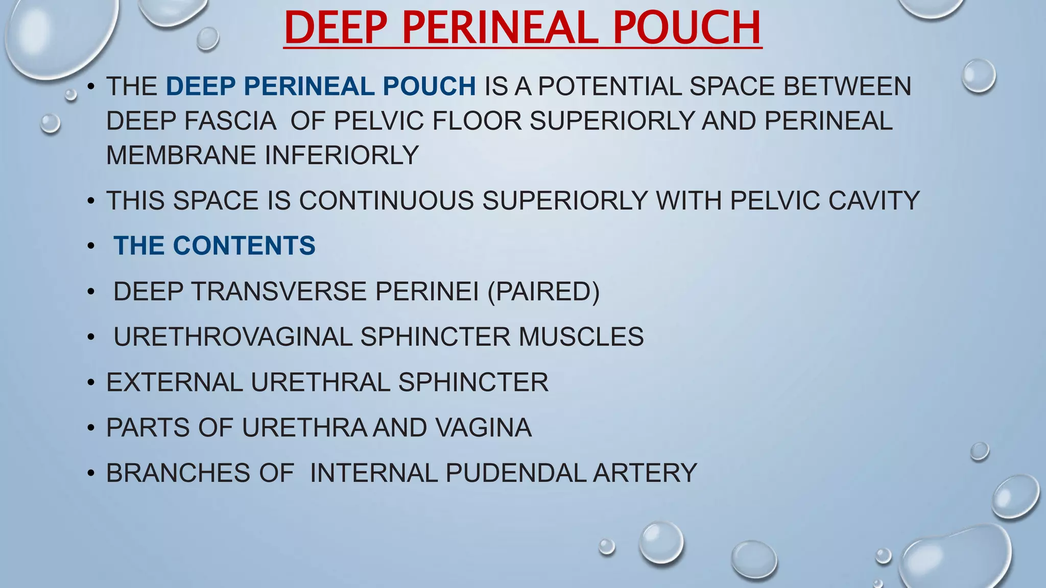 Pelvic floor anatomy and blood supply.pptx