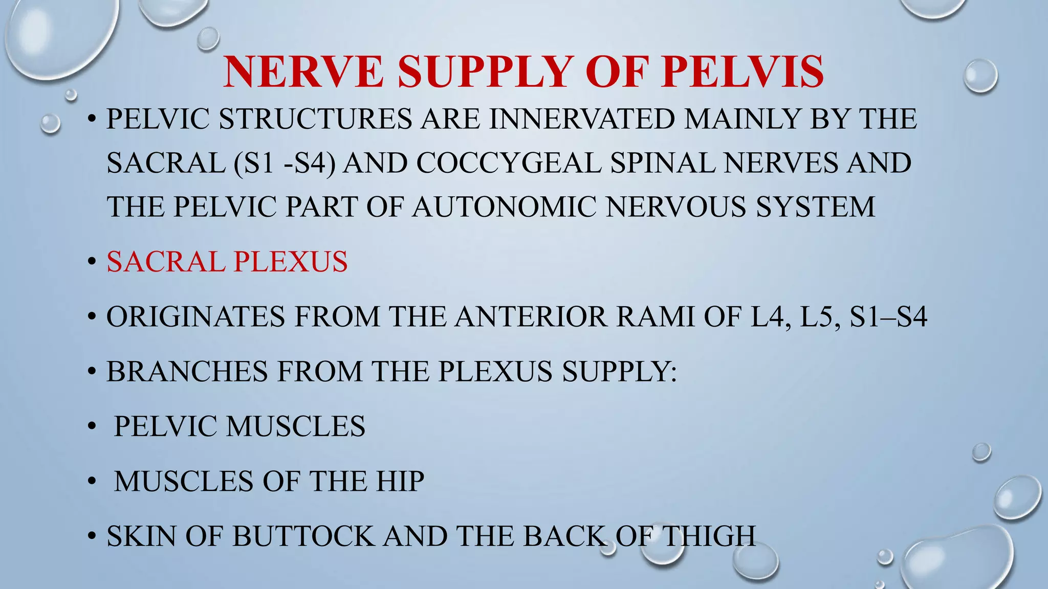 Pelvic floor anatomy and blood supply.pptx