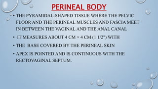 Pelvic floor anatomy and blood supply.pptx