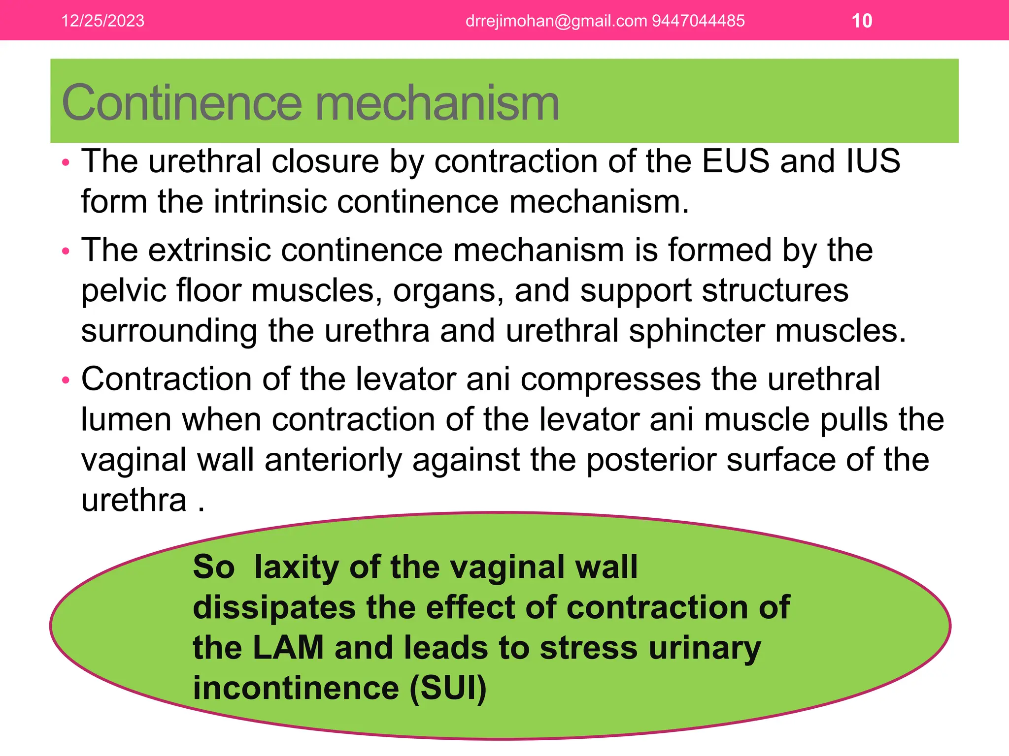 PELVIC FLOOR ANATOMY AND REPAIR.pptx FOR TEACHING | PPTX