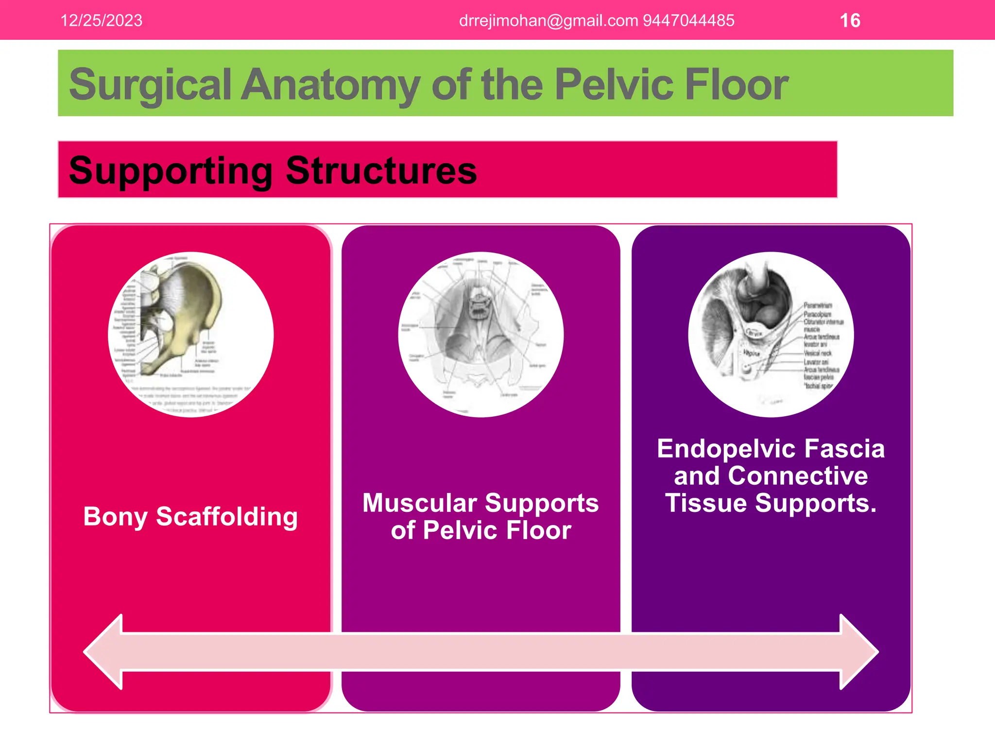PELVIC FLOOR ANATOMY AND REPAIR.pptx FOR TEACHING | PPTX