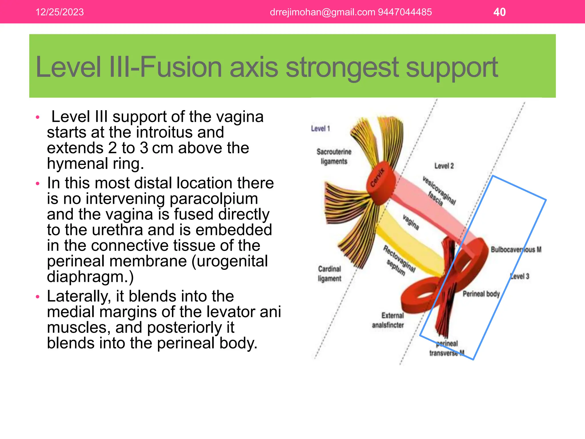 PELVIC FLOOR ANATOMY AND REPAIR.pptx FOR TEACHING | PPTX