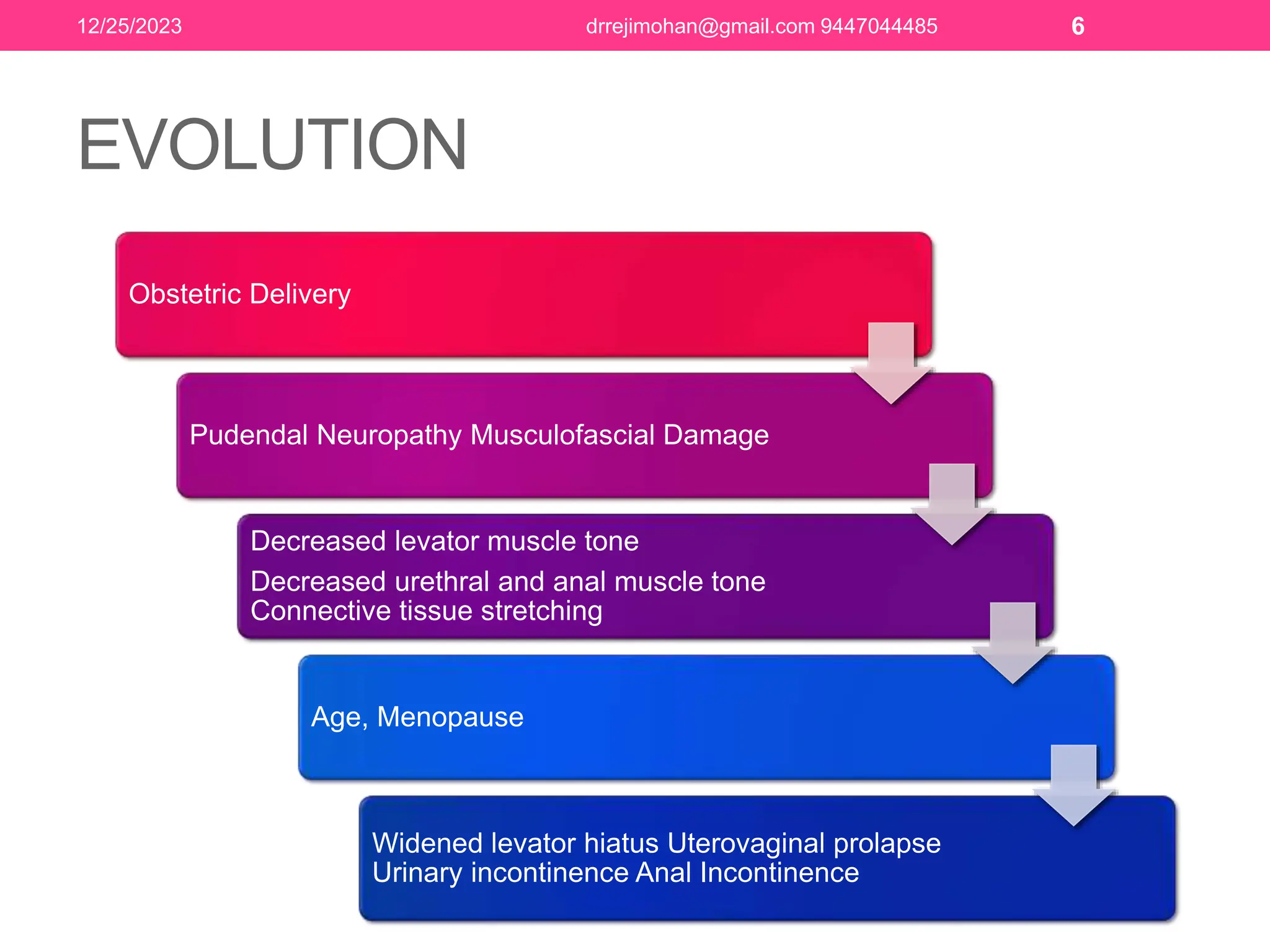 PELVIC FLOOR ANATOMY AND REPAIR.pptx FOR TEACHING | PPTX