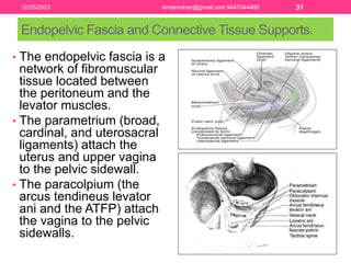 PELVIC FLOOR ANATOMY AND REPAIR.pptx FOR TEACHING | PPTX