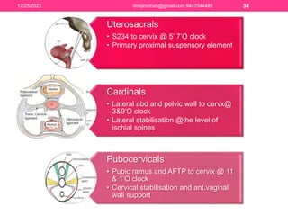 PELVIC FLOOR ANATOMY AND REPAIR.pptx FOR TEACHING | PPTX