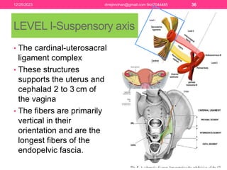 PELVIC FLOOR ANATOMY AND REPAIR.pptx FOR TEACHING | PPTX