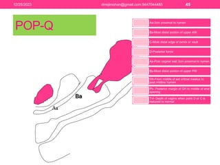 PELVIC FLOOR ANATOMY AND REPAIR.pptx FOR TEACHING | PPTX
