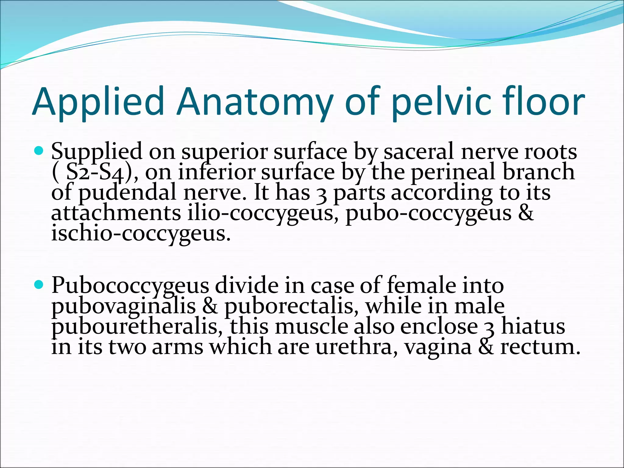 Pelvic Floor Anatomy | PPT