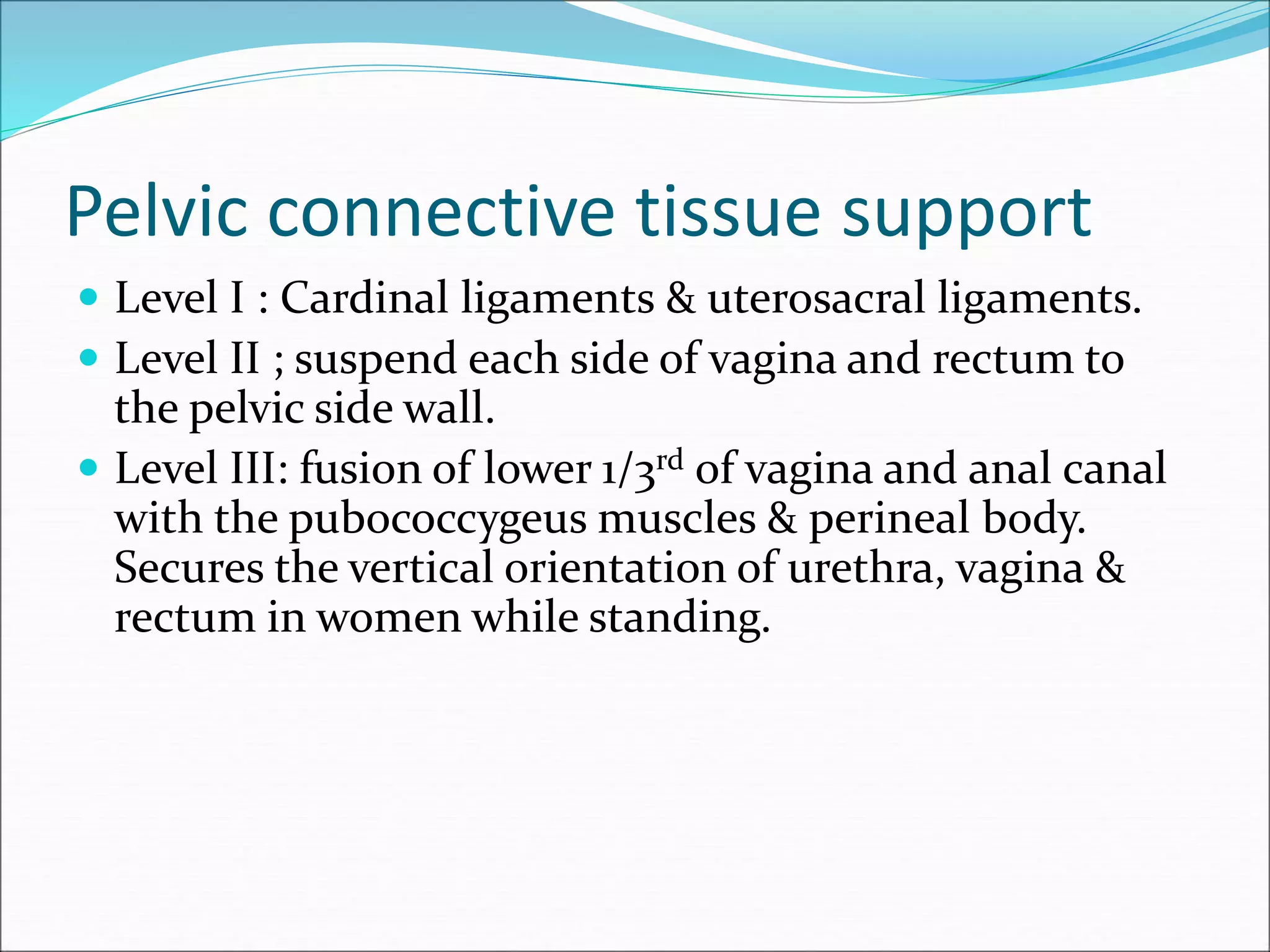 Pelvic Floor Anatomy | PPT