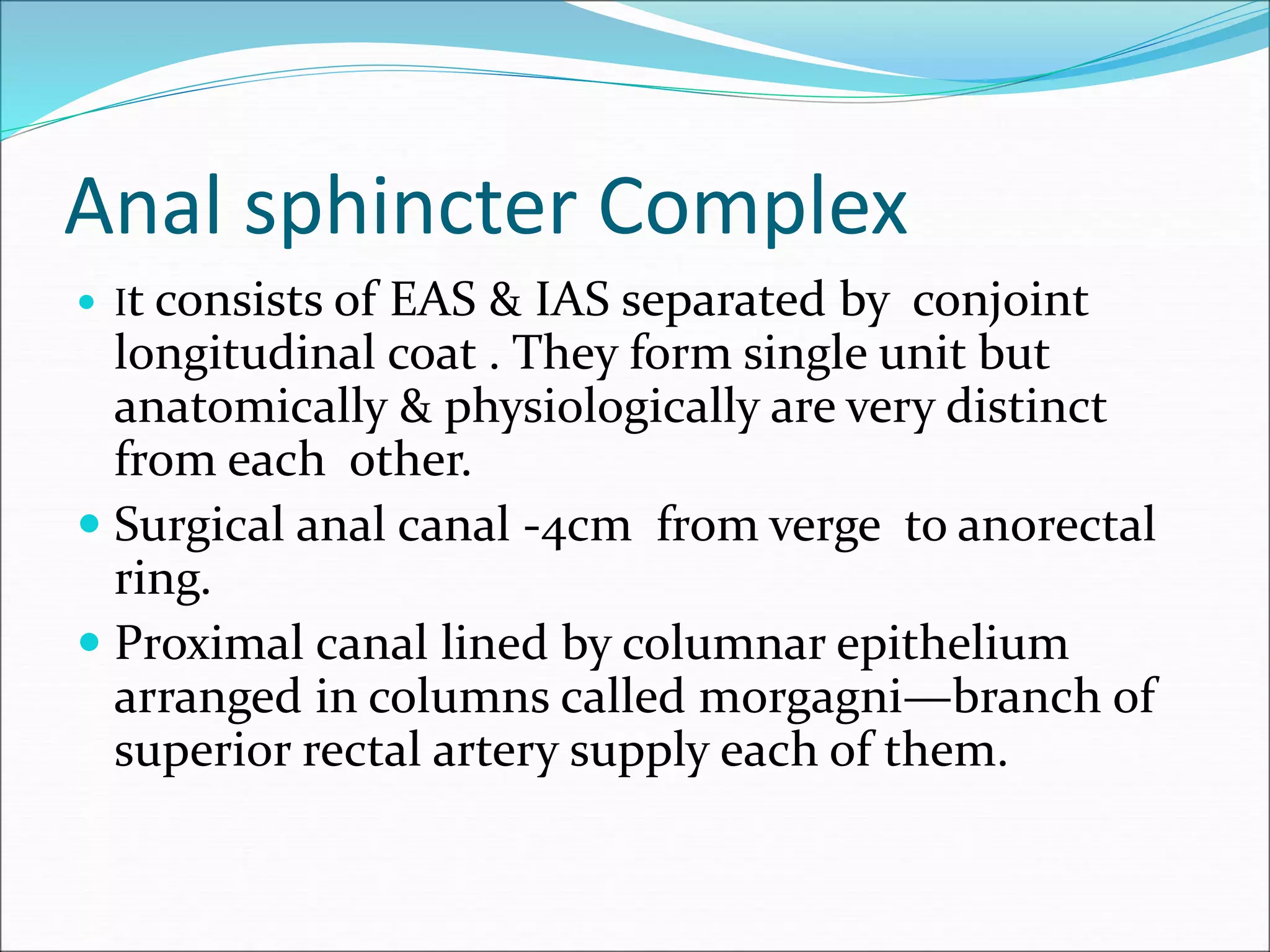 Pelvic Floor Anatomy | PPT