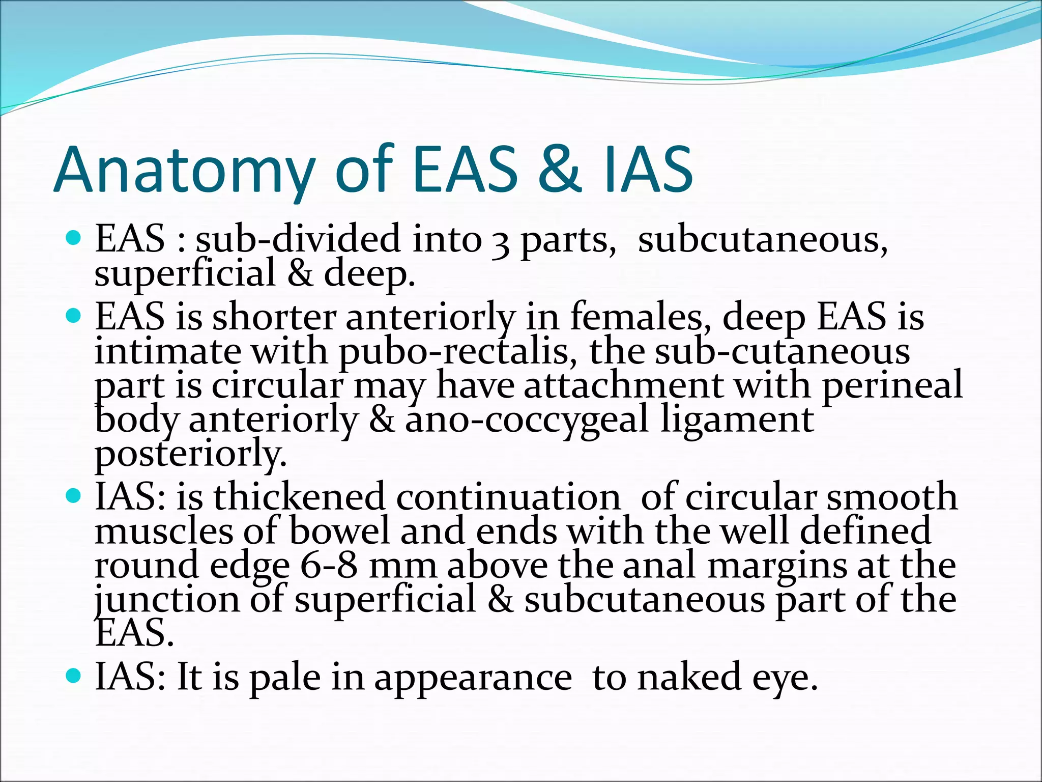 Pelvic Floor Anatomy | PPT