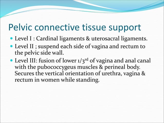 Pelvic Floor Anatomy Ppt