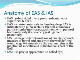 Pelvic Floor Anatomy | PPT