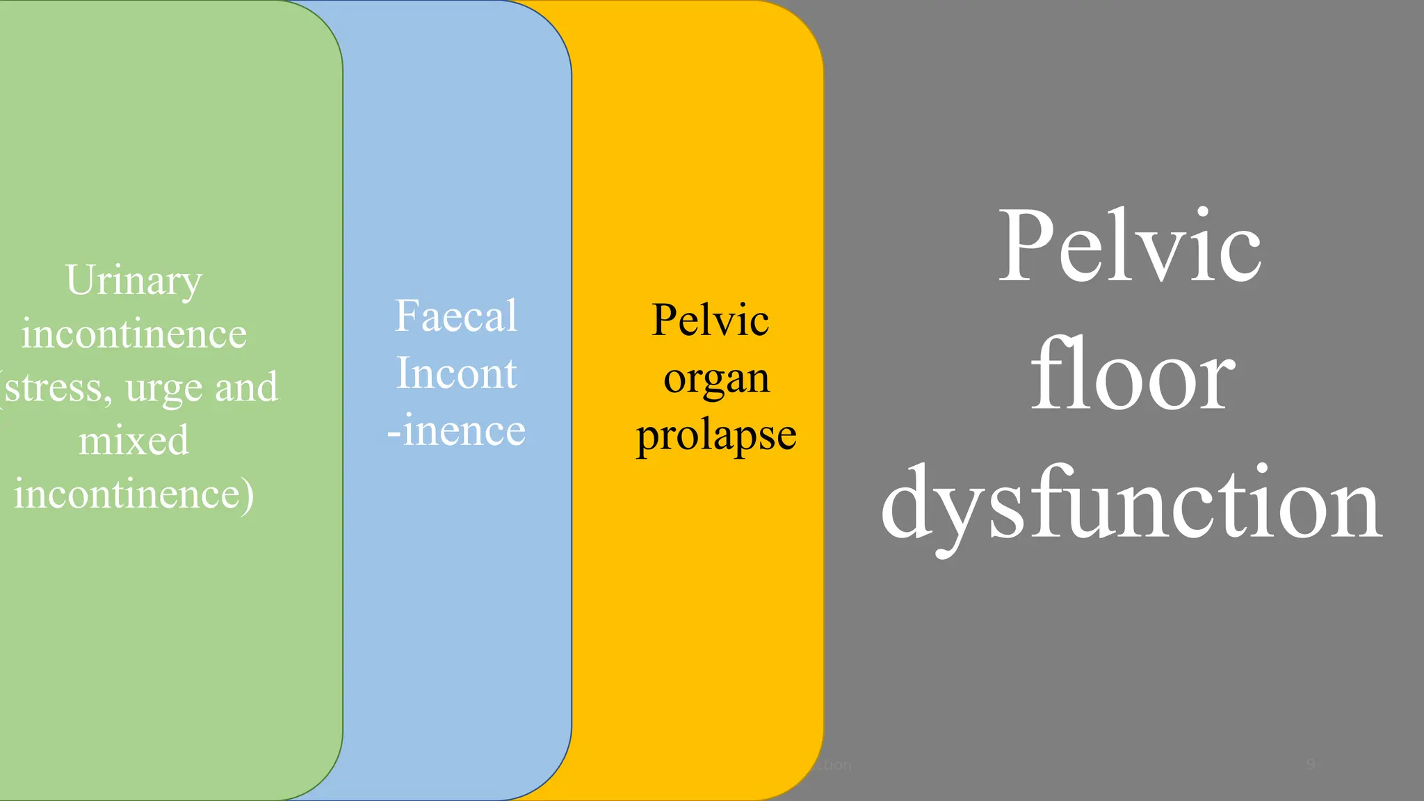 PELVIC FLOOR anatomy, muscles AND ITS DYSFUNCTION.pptx