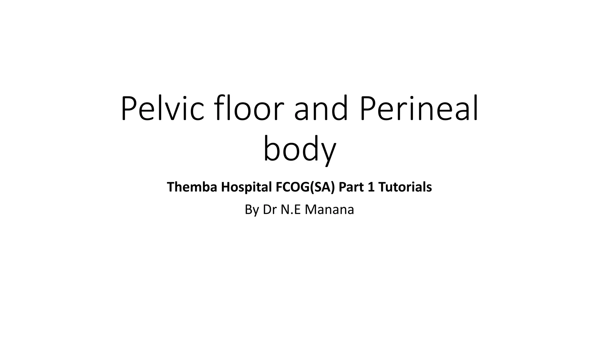 Pelvic floor and perineal body | PPTX
