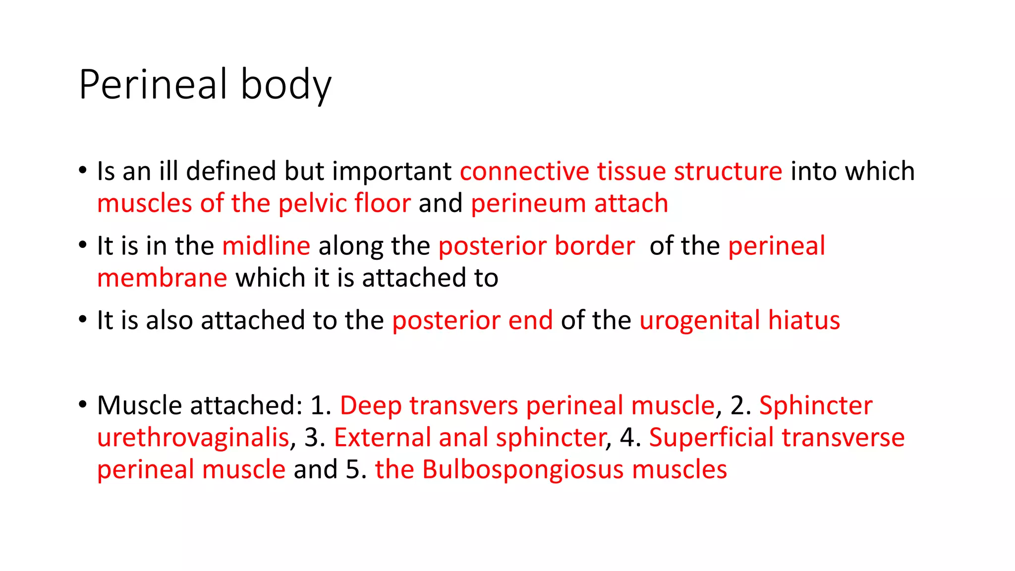 Pelvic floor and perineal body | PPTX