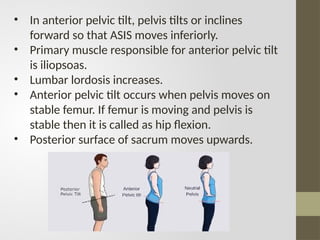 PELVIC FLOOR ASSESSMENT physiotherapy... | PPTX