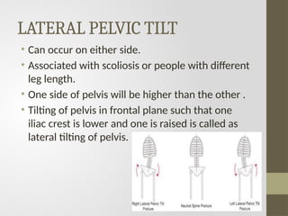 PELVIC FLOOR ASSESSMENT physiotherapy... | PPTX