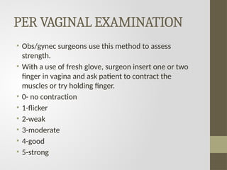 PELVIC FLOOR ASSESSMENT physiotherapy... | PPTX