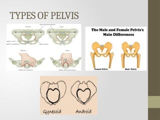 PELVIC FLOOR ASSESSMENT physiotherapy... | PPTX