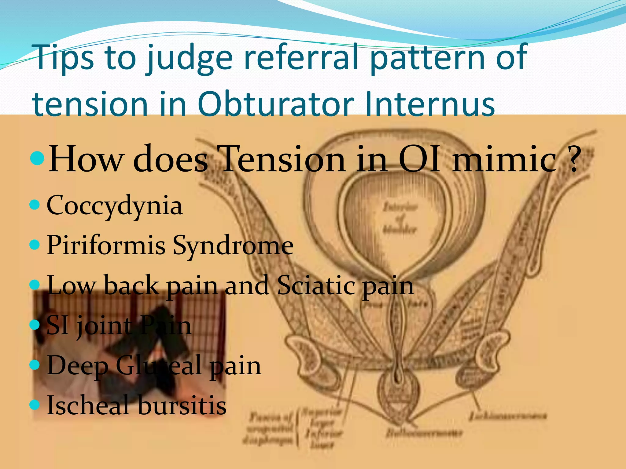 Pelvic floor dysfunction and low back ache | PPTX