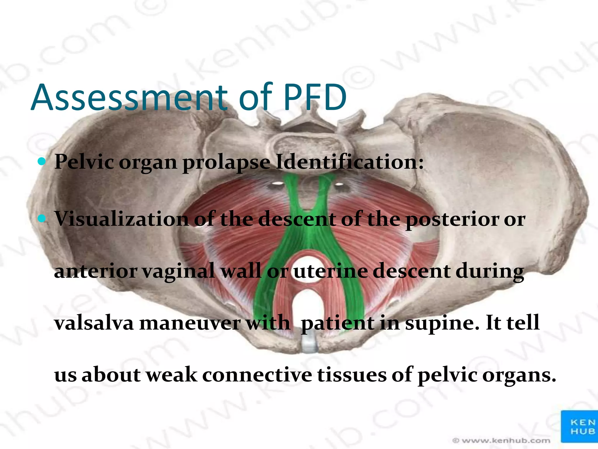 Pelvic floor dysfunction and low back ache | PPTX