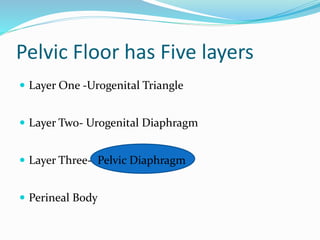 Pelvic floor dysfunction and low back ache | PPTX