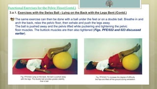 Pelvic floor exercise , a complete exercise presentation with ...