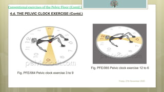 Pelvic floor exercise , a complete exercise presentation with ...