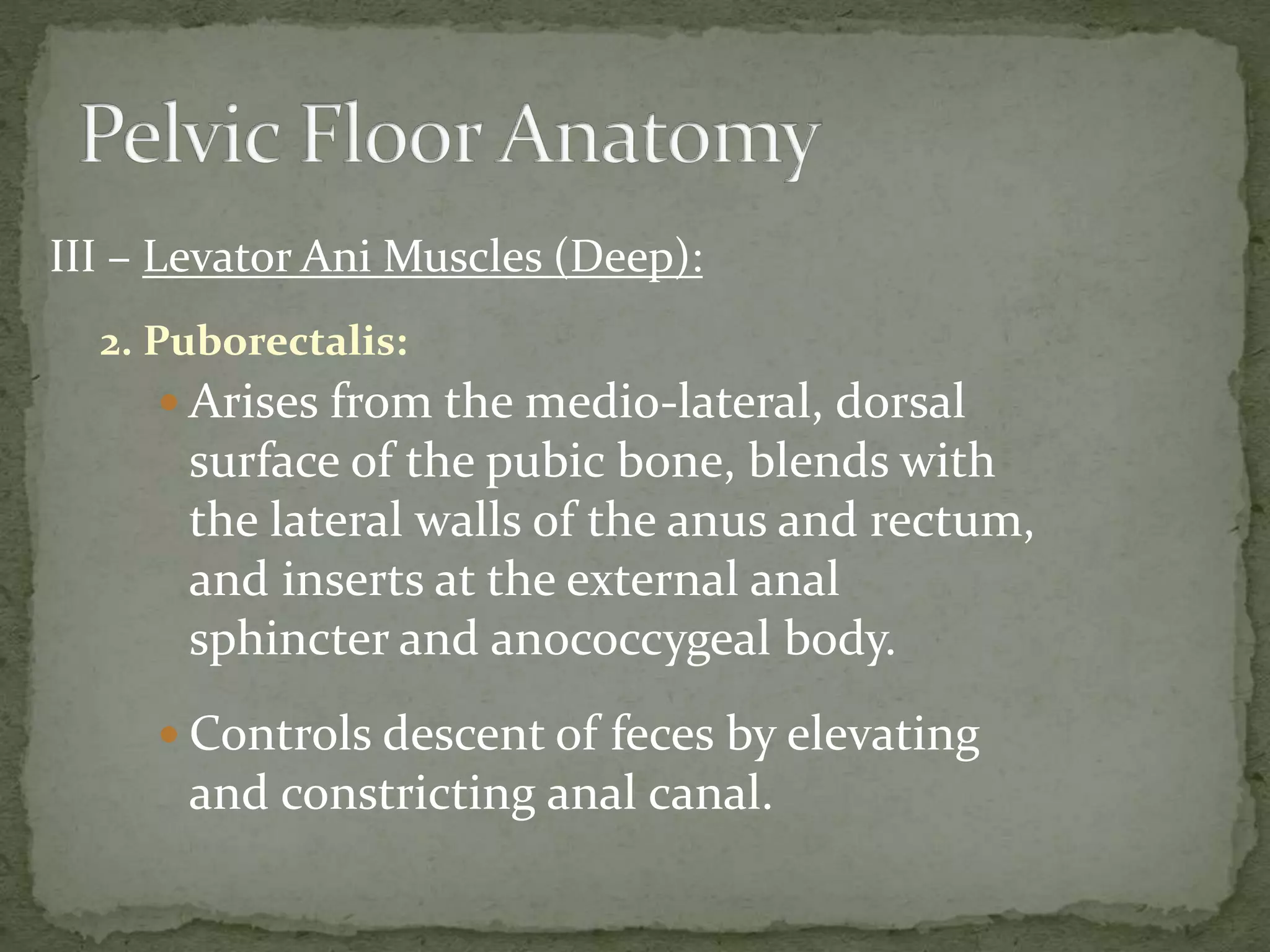 Pelvic floor muscle and dysfunctions | PPTX