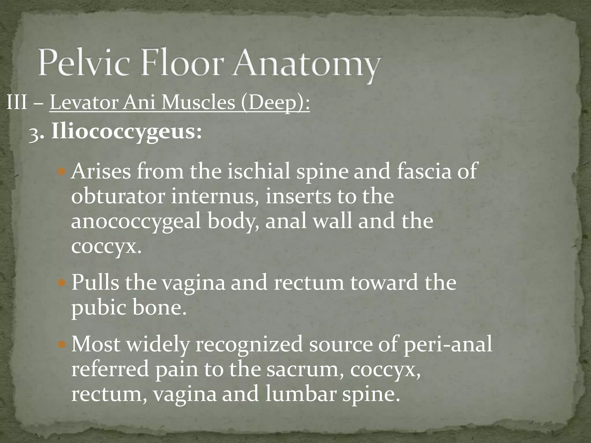Pelvic floor muscle and dysfunctions | PPTX
