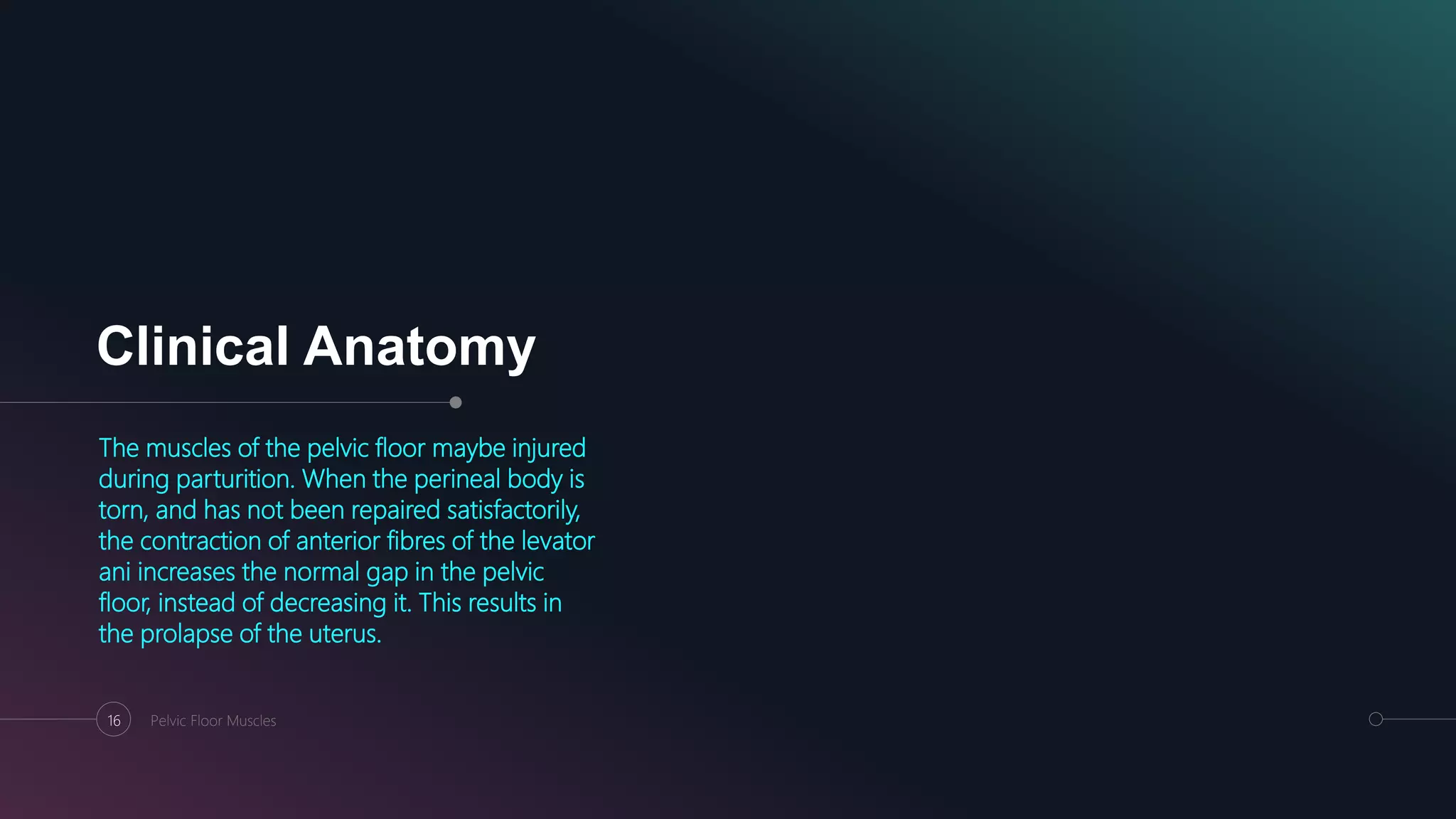 Pelvic floor muscles | PPTX