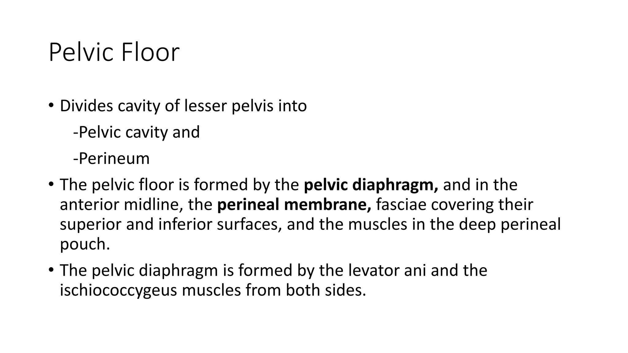 PELVIC FLOOR MUSCLES.pptx