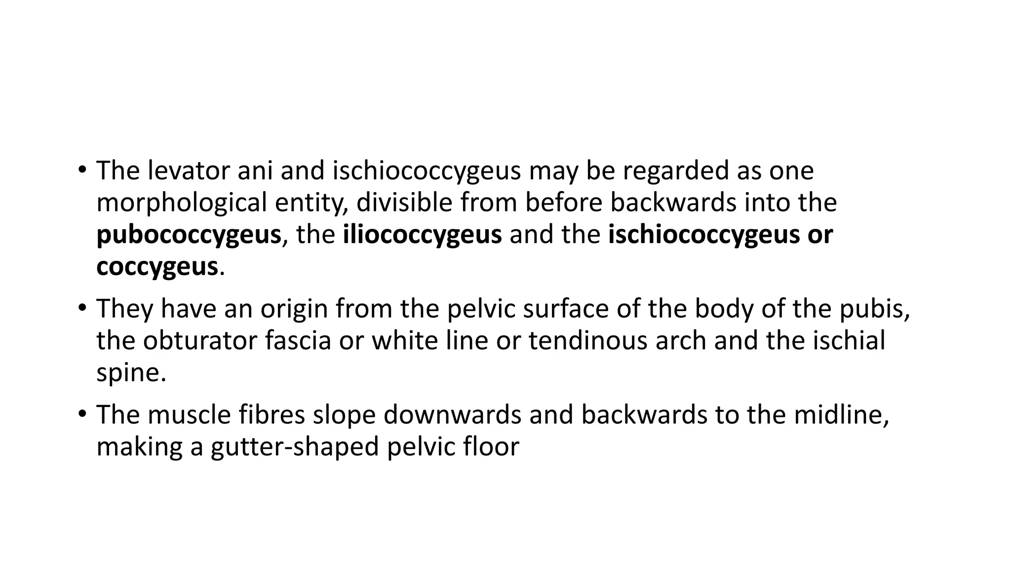 PELVIC FLOOR MUSCLES.pptx