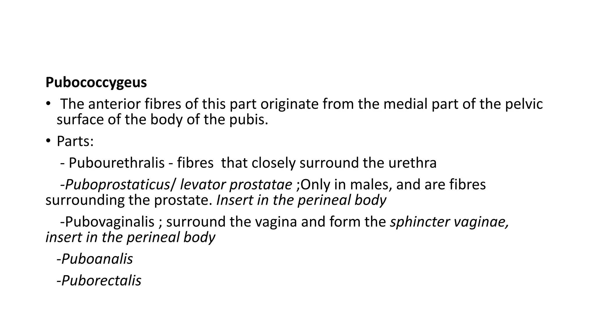 PELVIC FLOOR MUSCLES.pptx