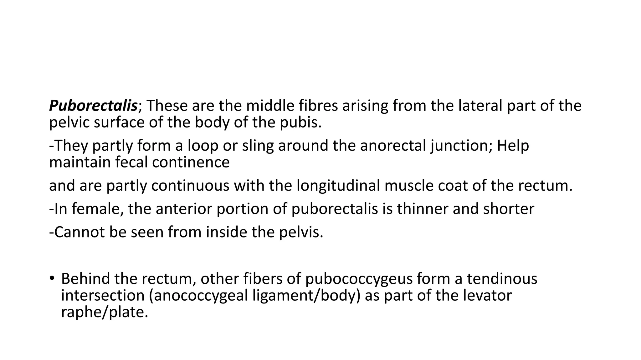 PELVIC FLOOR MUSCLES.pptx