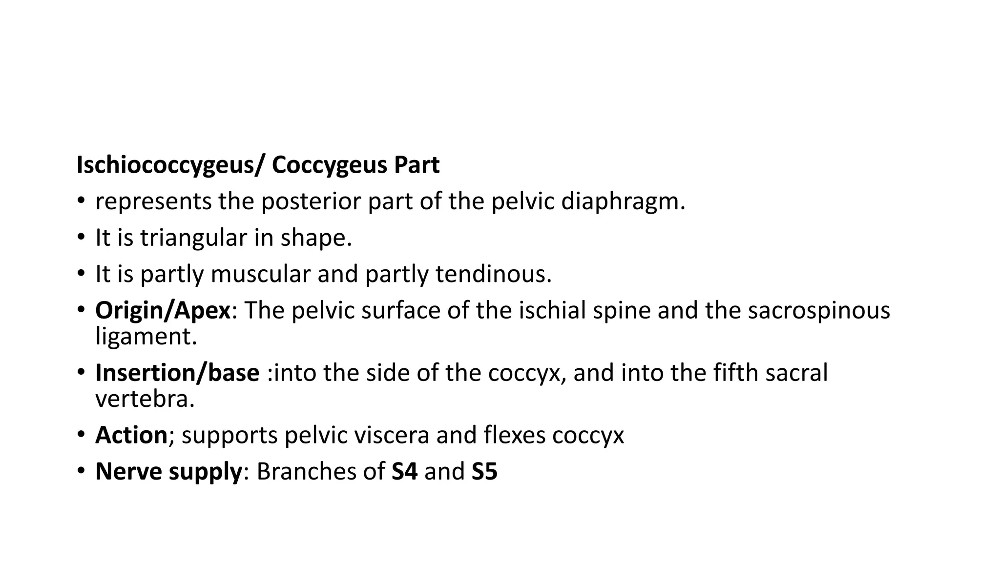 PELVIC FLOOR MUSCLES.pptx
