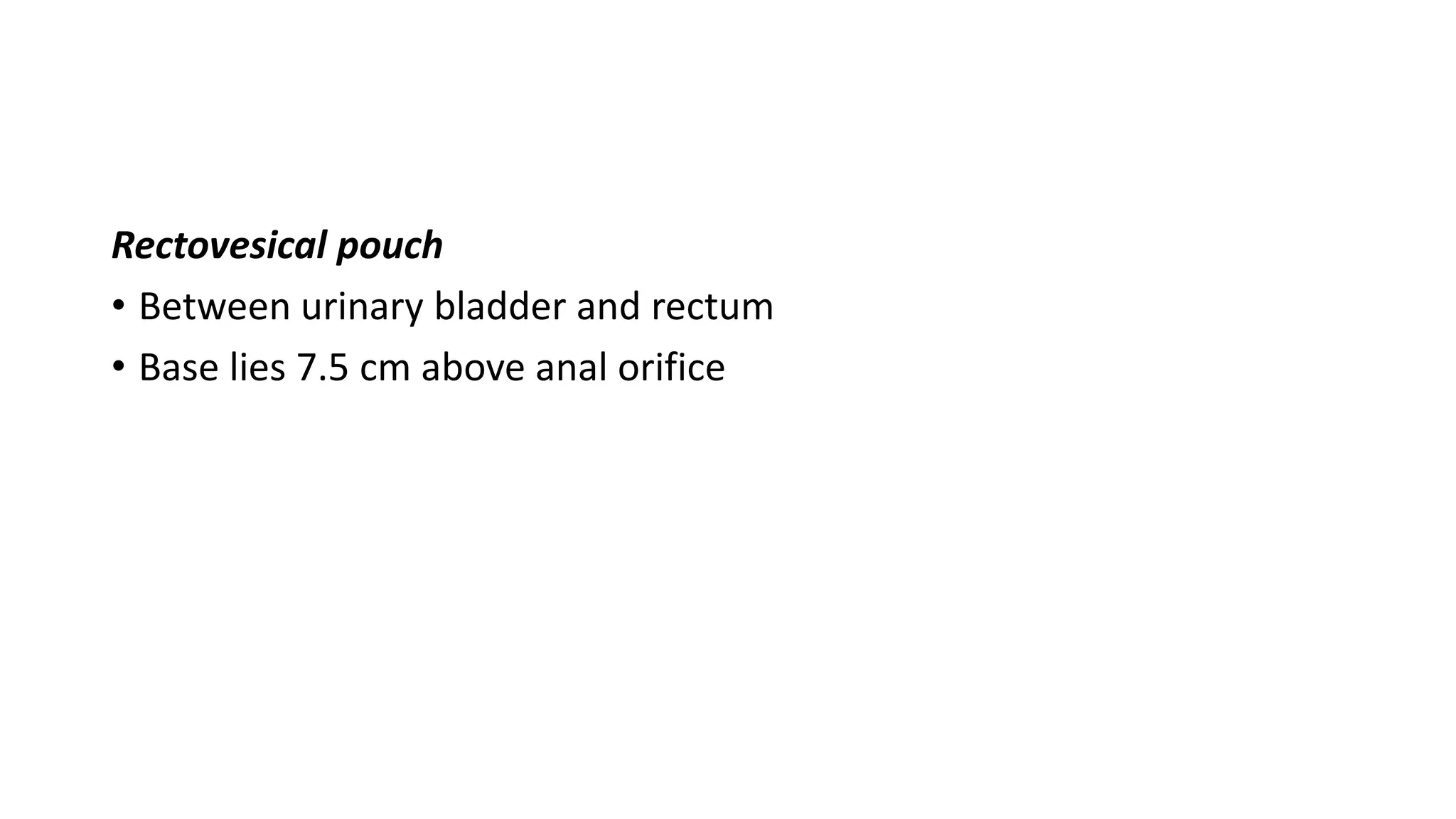 PELVIC FLOOR MUSCLES.pptx