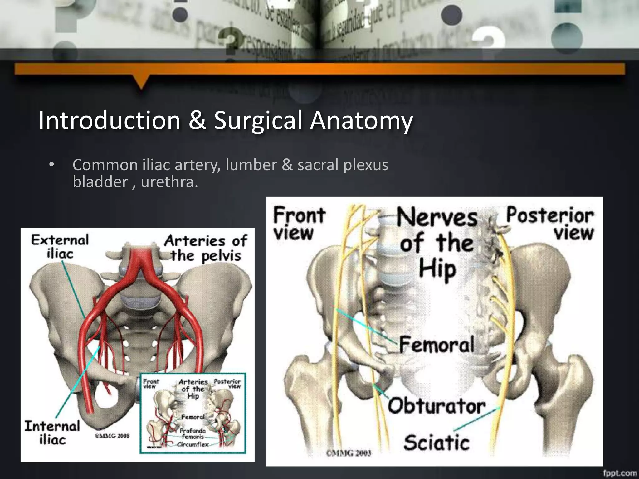 Pelvis Injuries | PPT