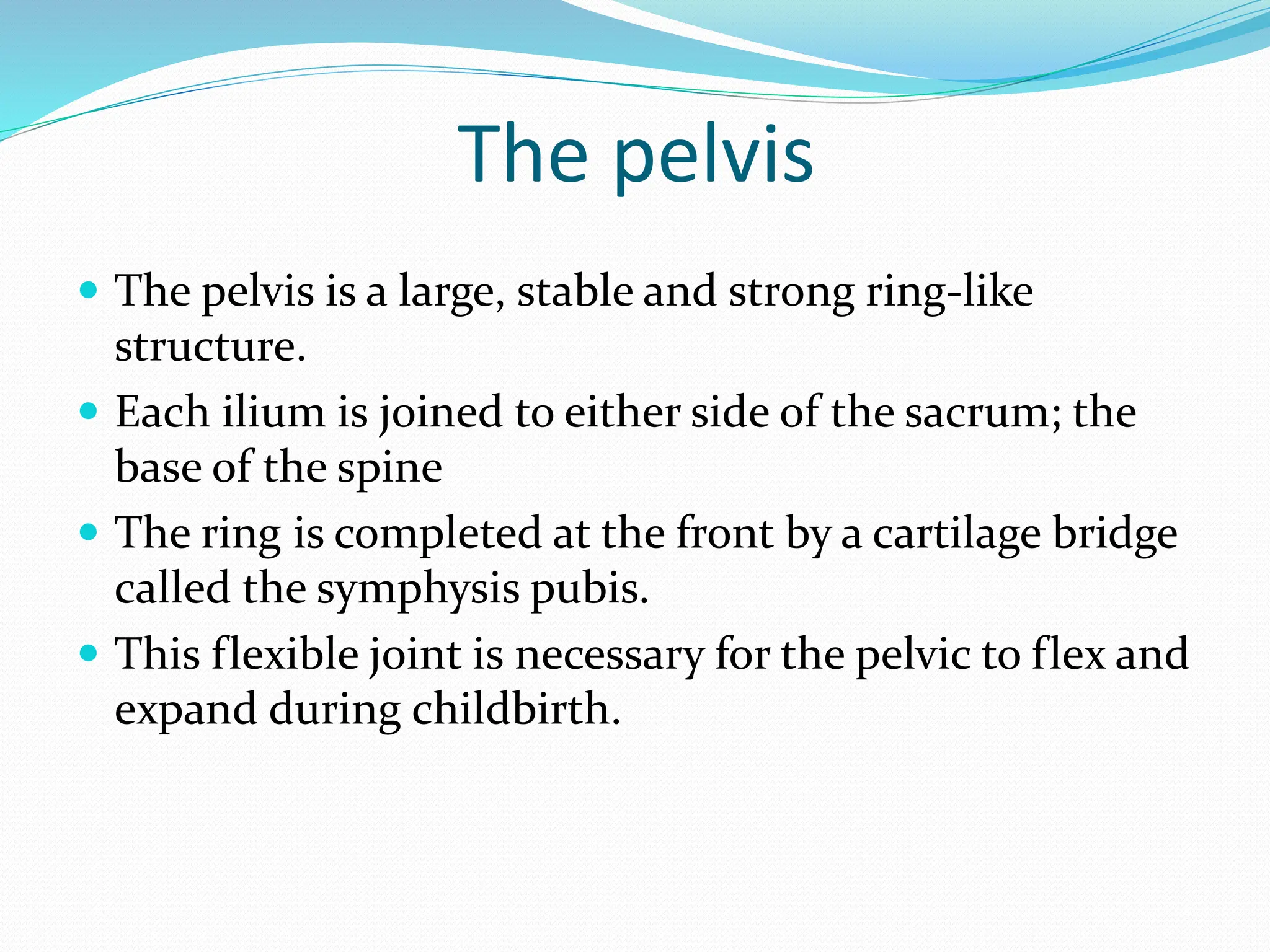 pelvic fracture.pptx111111111111111111111 | PPTX