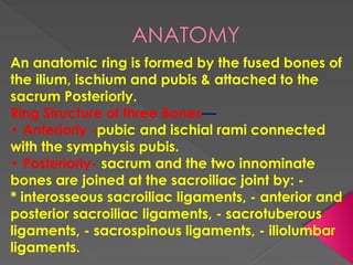 Complete Treatment & Rehabilitation of pelvic fracture | PPTX
