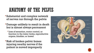 Field management of Pelvic Fracture CME.pptx