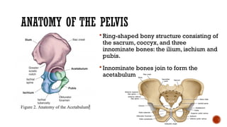 Field management of Pelvic Fracture CME.pptx